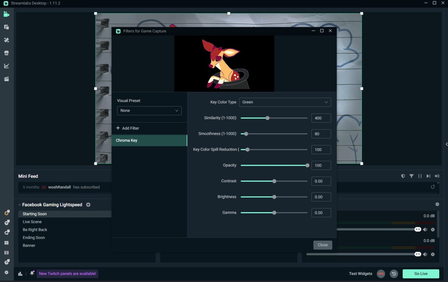 VTuber model’s green screen background removed