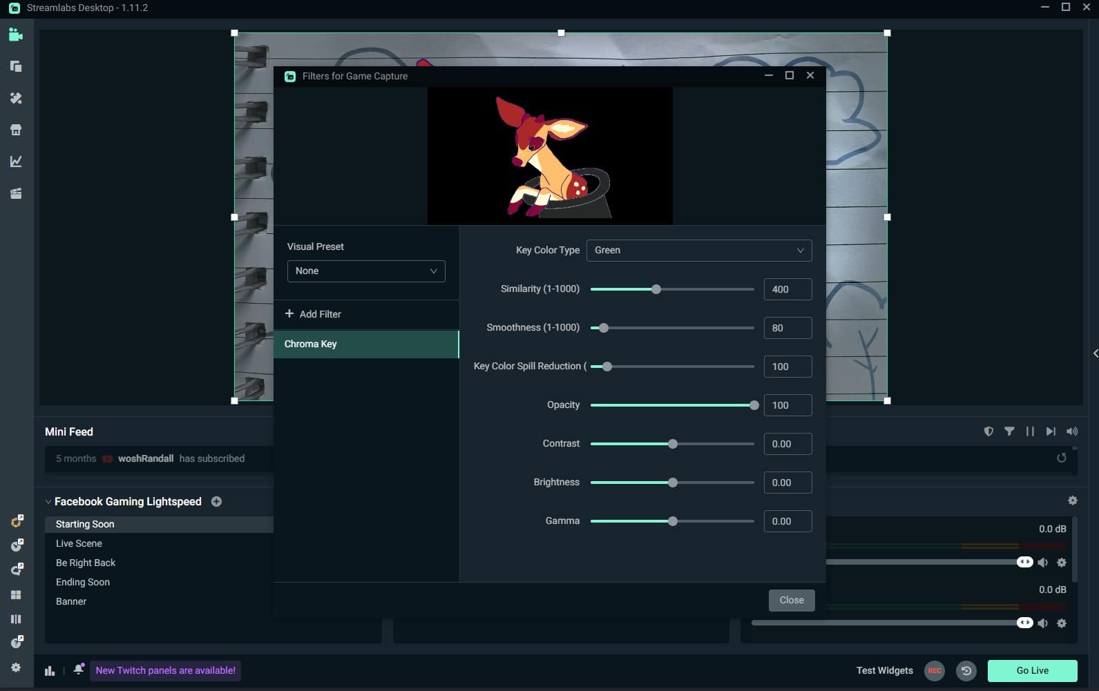 VTuber model’s green screen background removed